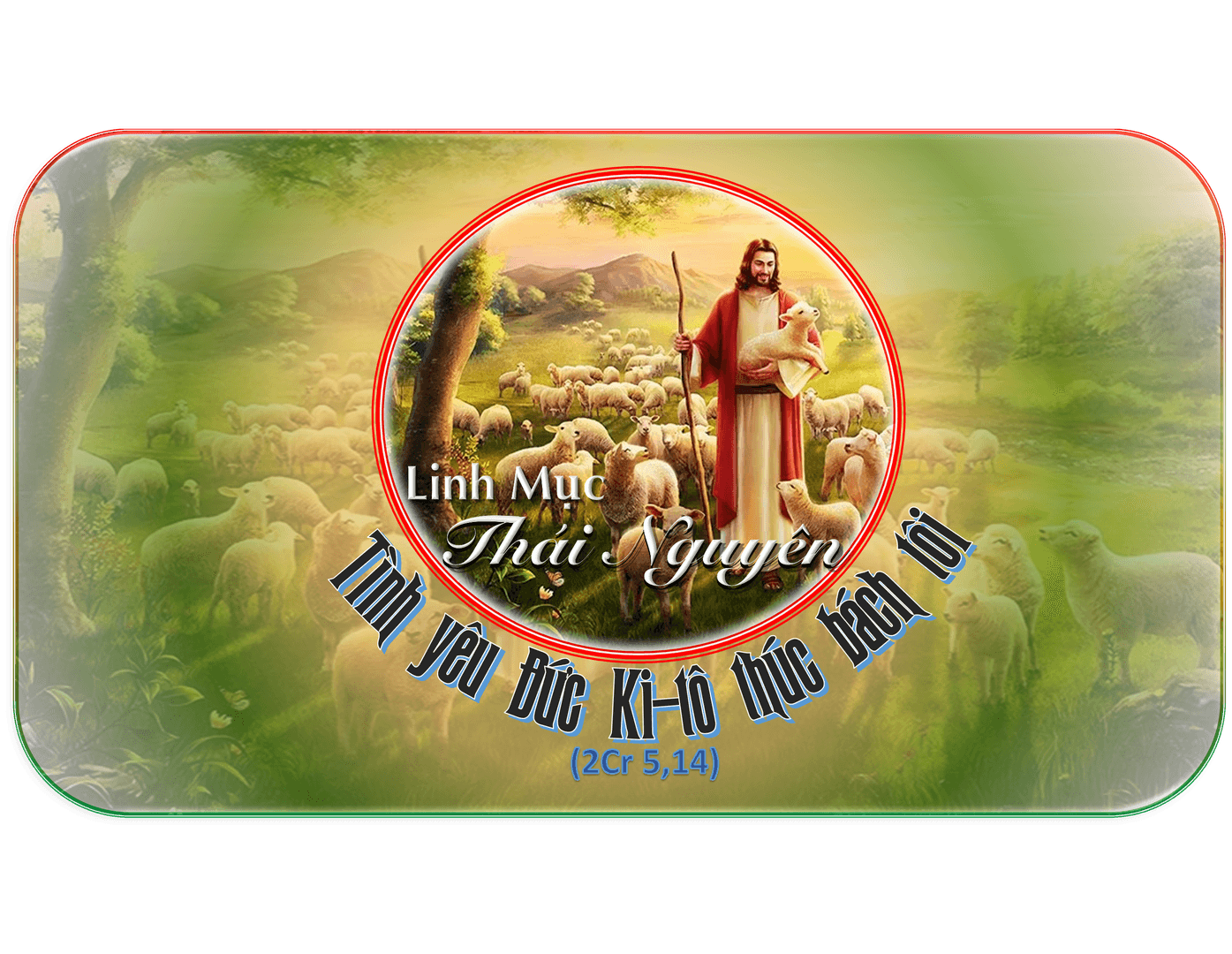 Chúa Chiên Lành - con đường duy nhất dẫn vào sự sống | Chúa nhật IV ...